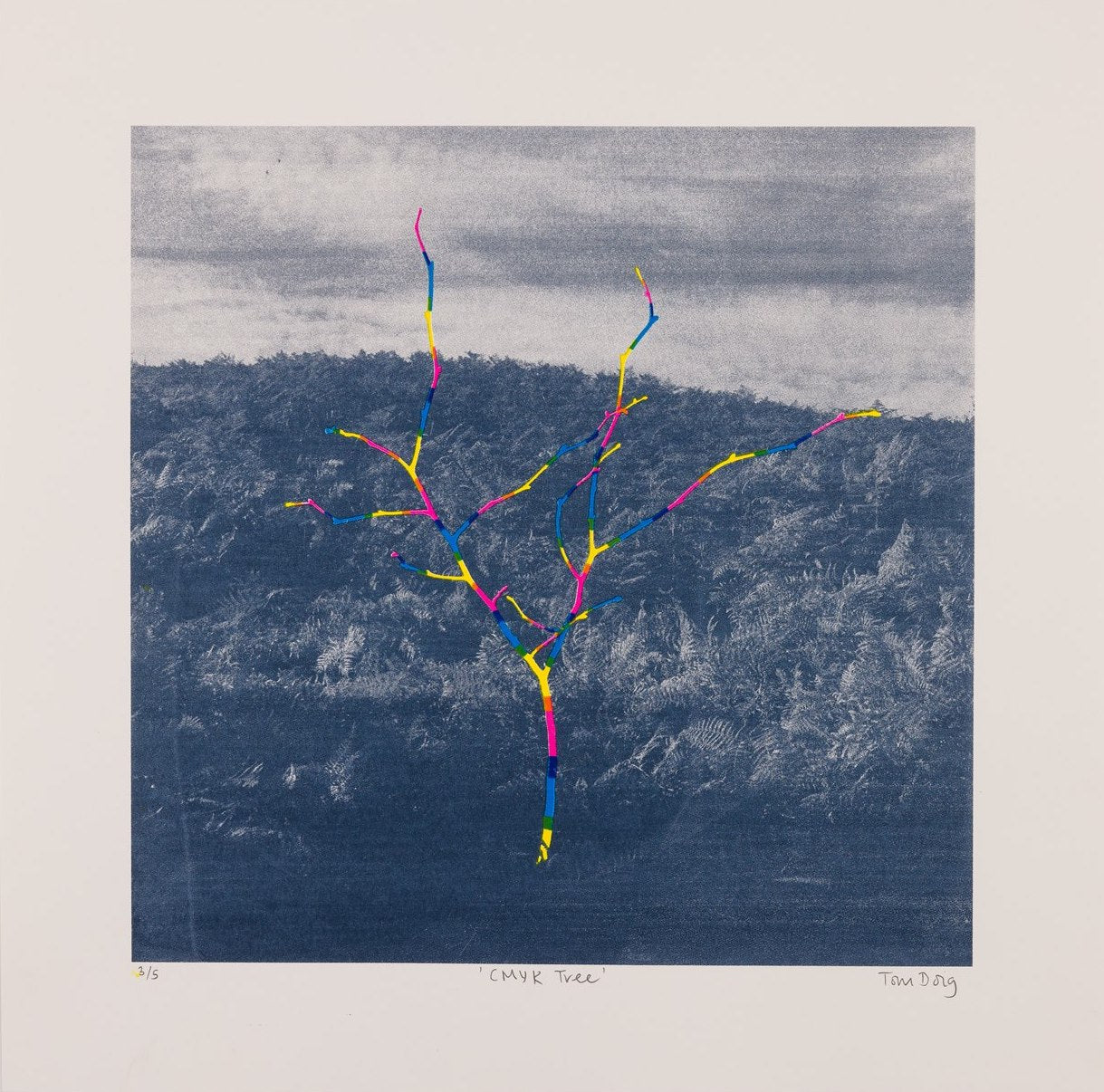 Tom Doig – Cork Printmakers